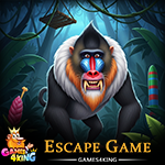 Baby Green Monkey Escape Games4King - oceandesjeux.com